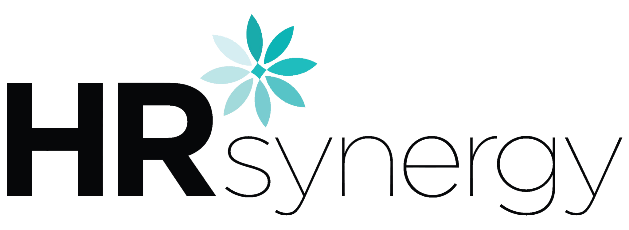 HR Synergy, LLC - Outsourced Human Resource Consulting HR Synergy, LLC - Outsourced Human Resource Consulting